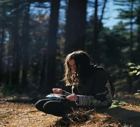 강아지 보양식 간단한 레시피와 준비 팁 - 펫앤 플랜트 케어